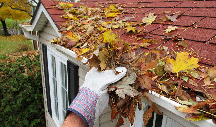 Fall Fix-Ups: Essential Tools for Home Repair and Maintenance Before W